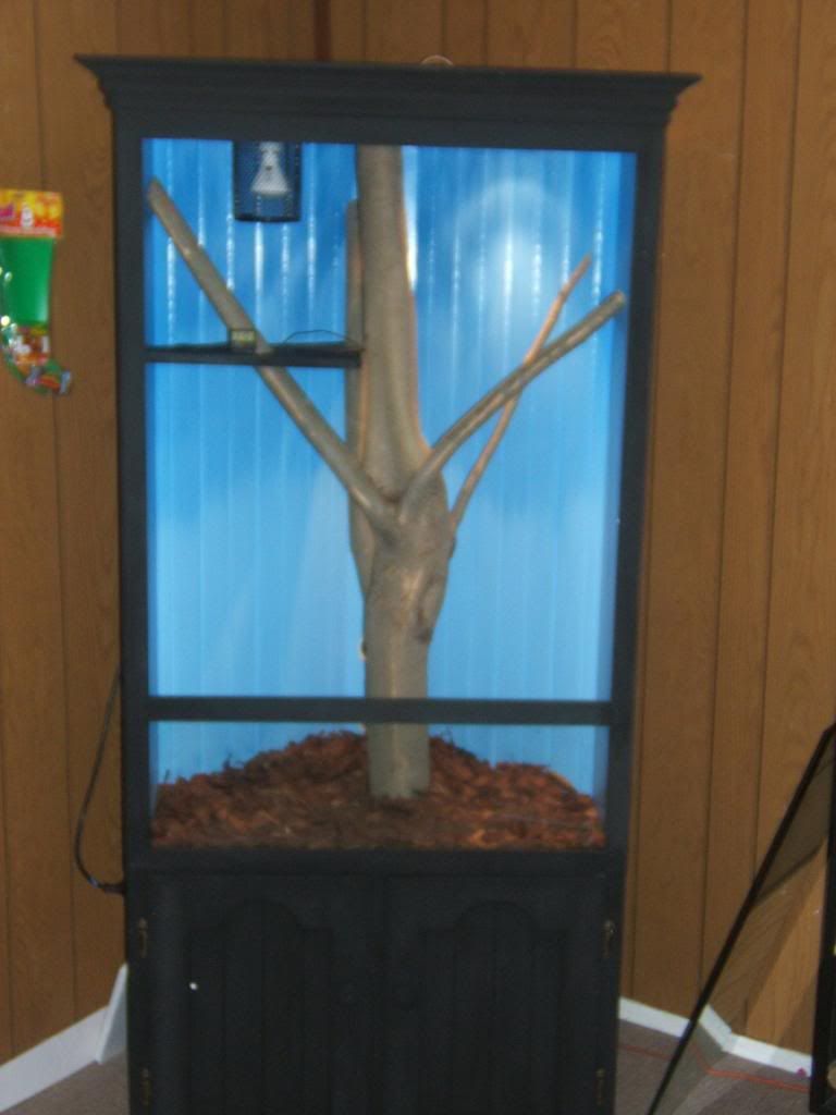 enclosures you built | Page 2 | Aussie Pythons & Snakes Forum